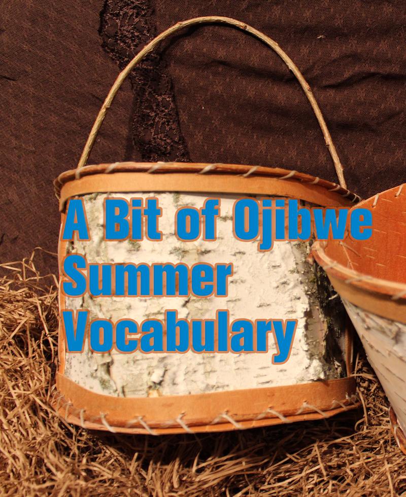 A Bit of Ojibwe Summer Vocabulary – Native Harvest Ojibwe Products, a ...