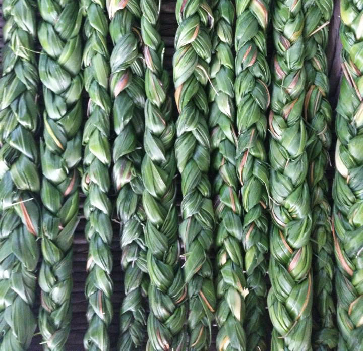 Native American Sweetgrass